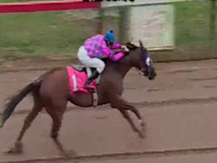 Sports Vault: Jockey Perry Ouzts was told he'd never ride again. Ten ...