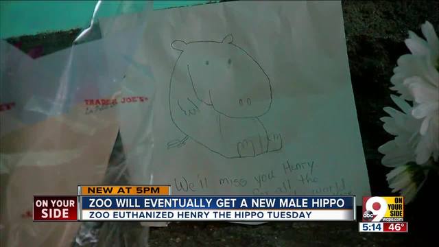 Henry the hippo has died, zoo says - WCPO Cincinnati, OH
